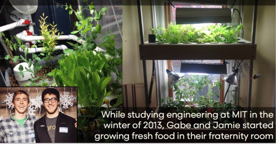 Personal Indoor Farming — Fall 2016 - Economic Democracy Advocates