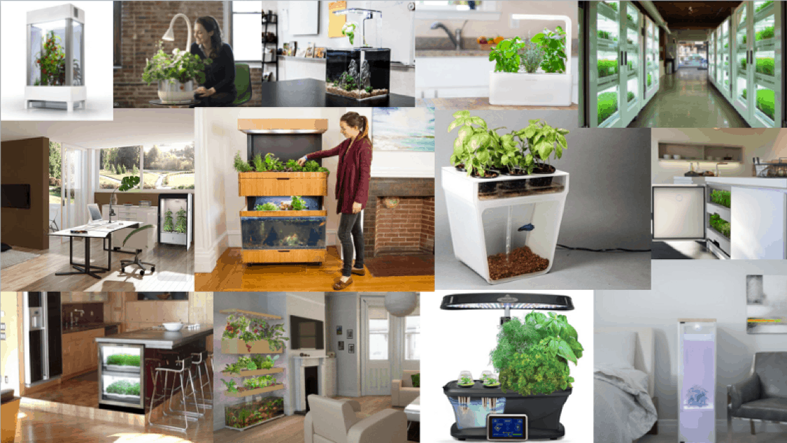 Personal Indoor Farming — Fall 2016 - Economic Democracy Advocates